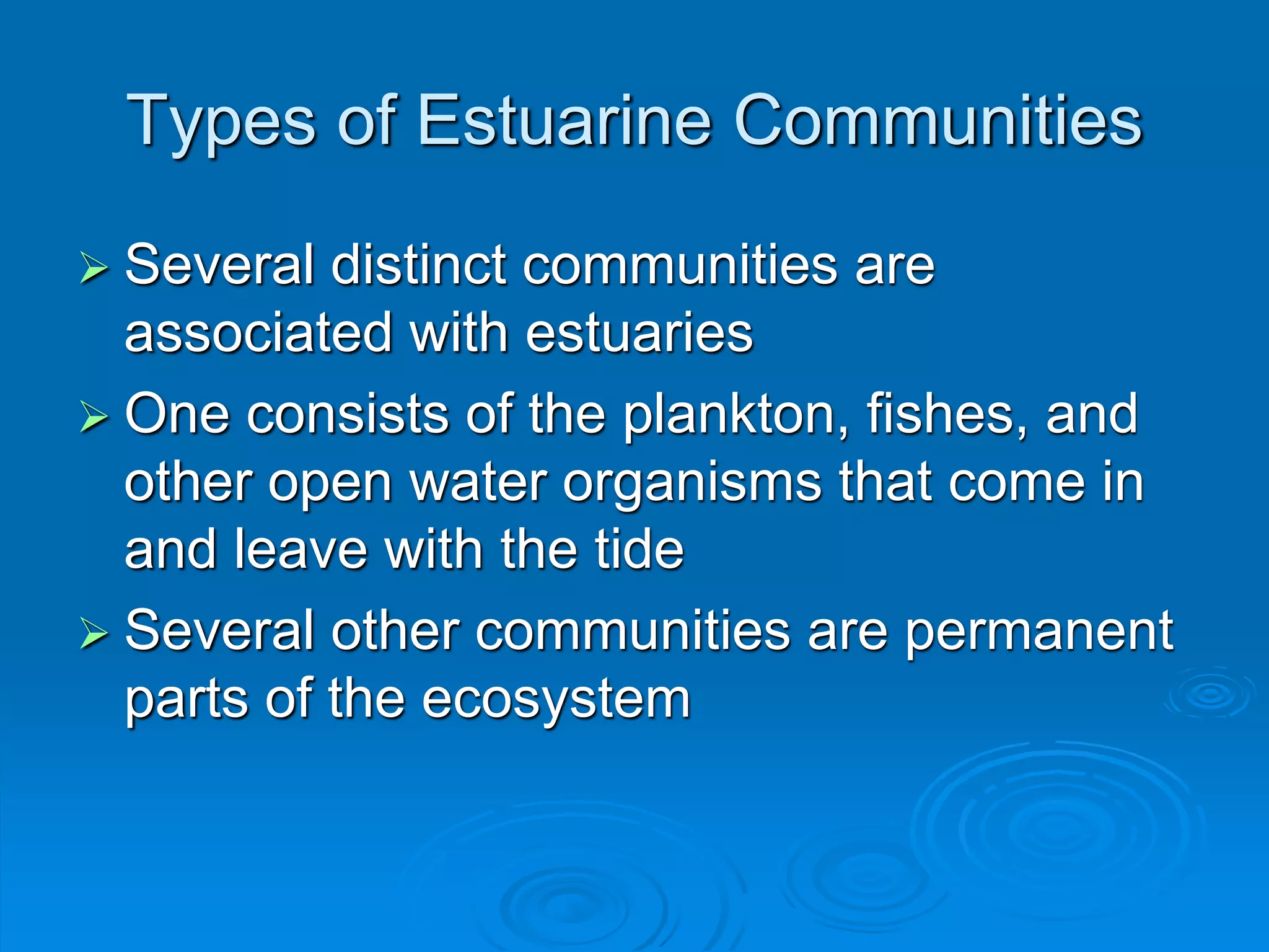 Estuaries1.ppt