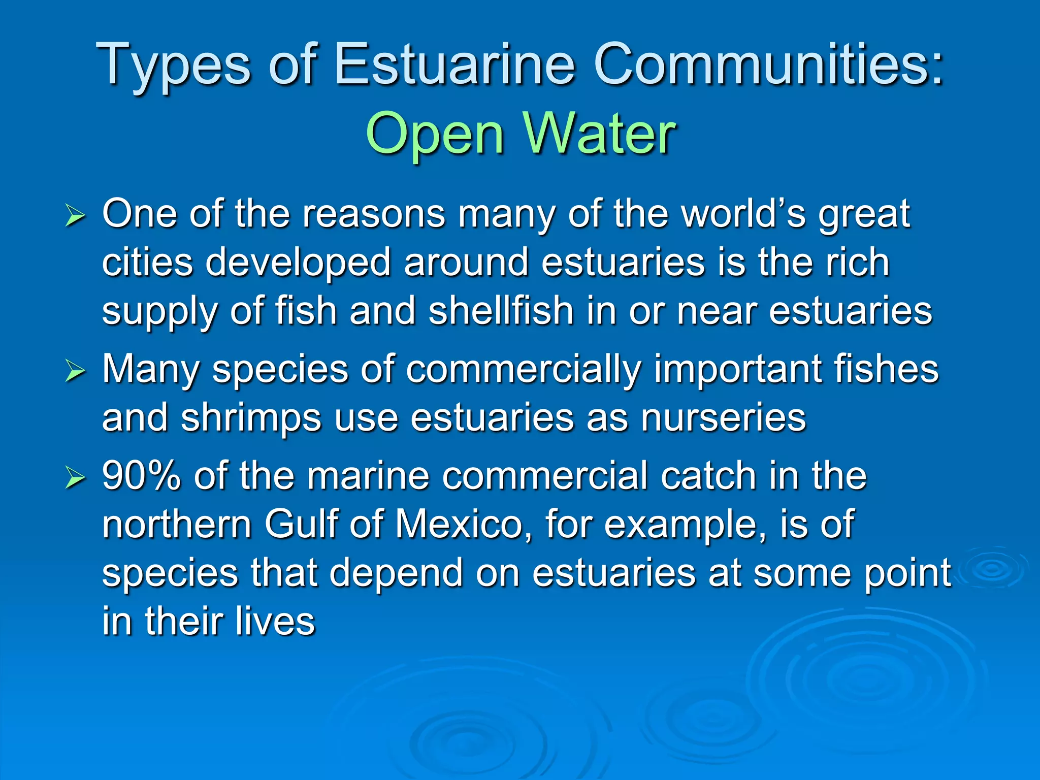 Estuaries1.ppt