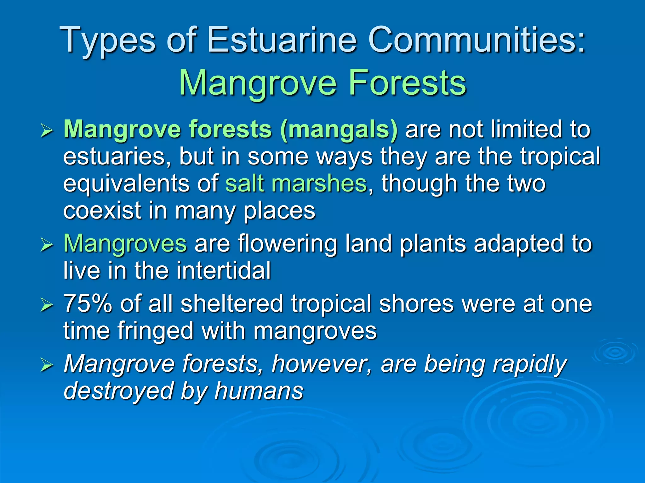 Estuaries1.ppt
