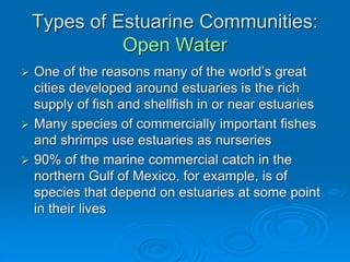 Estuaries1.ppt