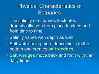 Estuaries1.ppt | Geology | Science