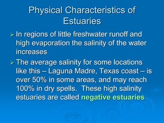 Estuaries1.ppt