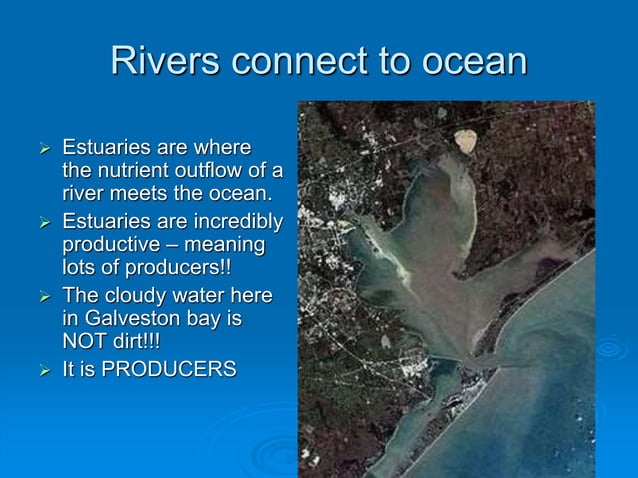 Estuaries1.ppt