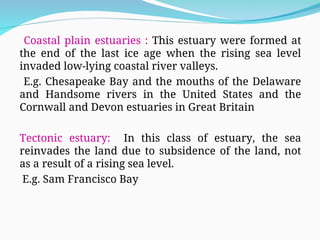 ESTUARIES (1).ppt notes for proper education purpose | PPT