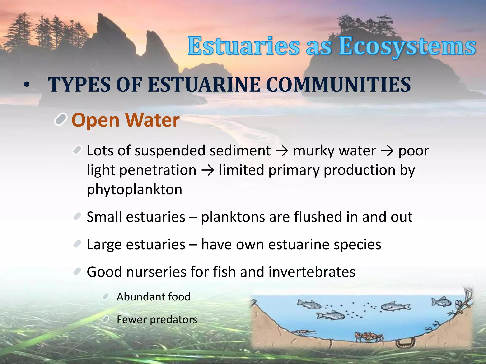 Estuaries: Communities | PPTX