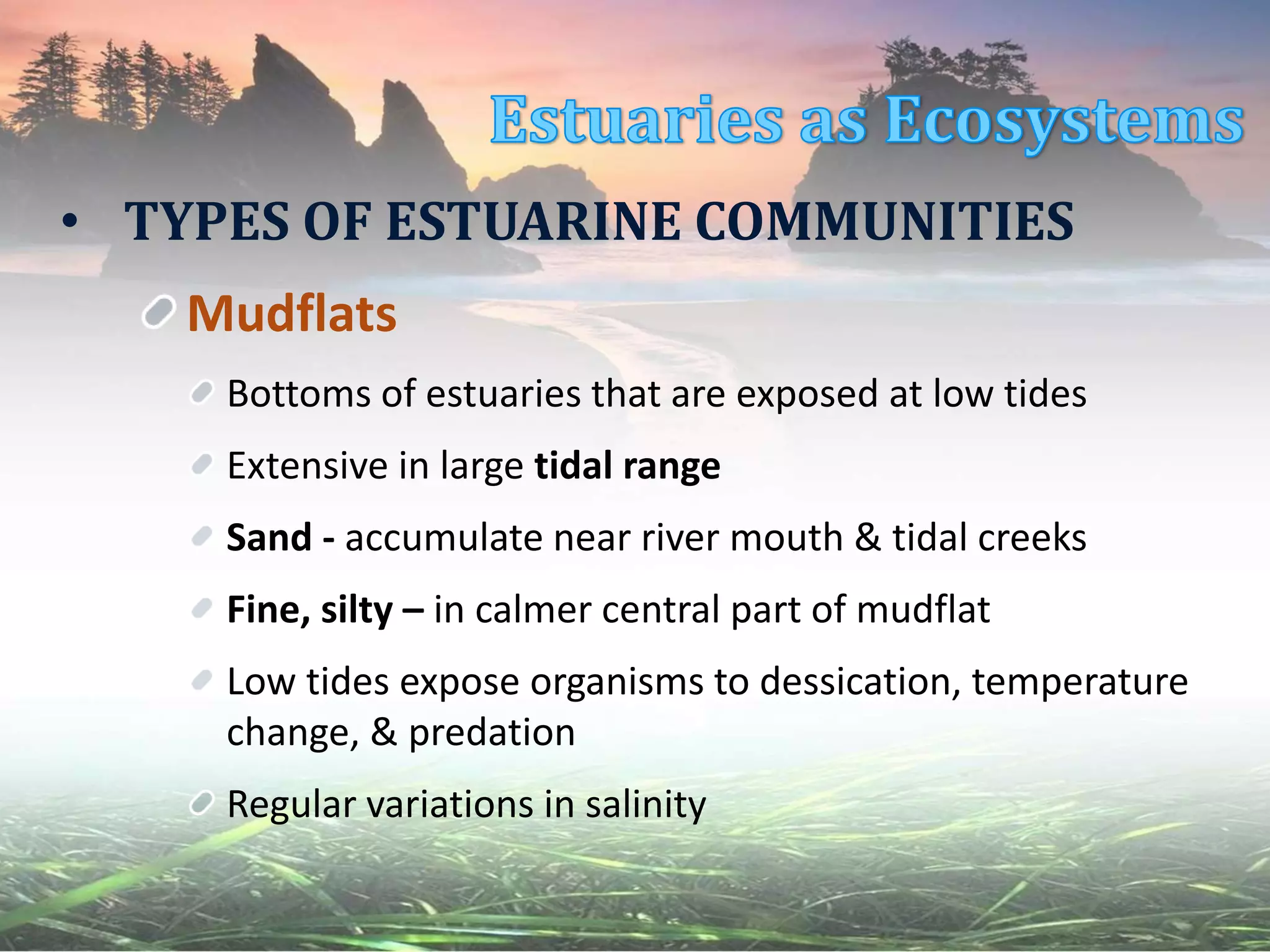 Estuaries: Communities | PPTX