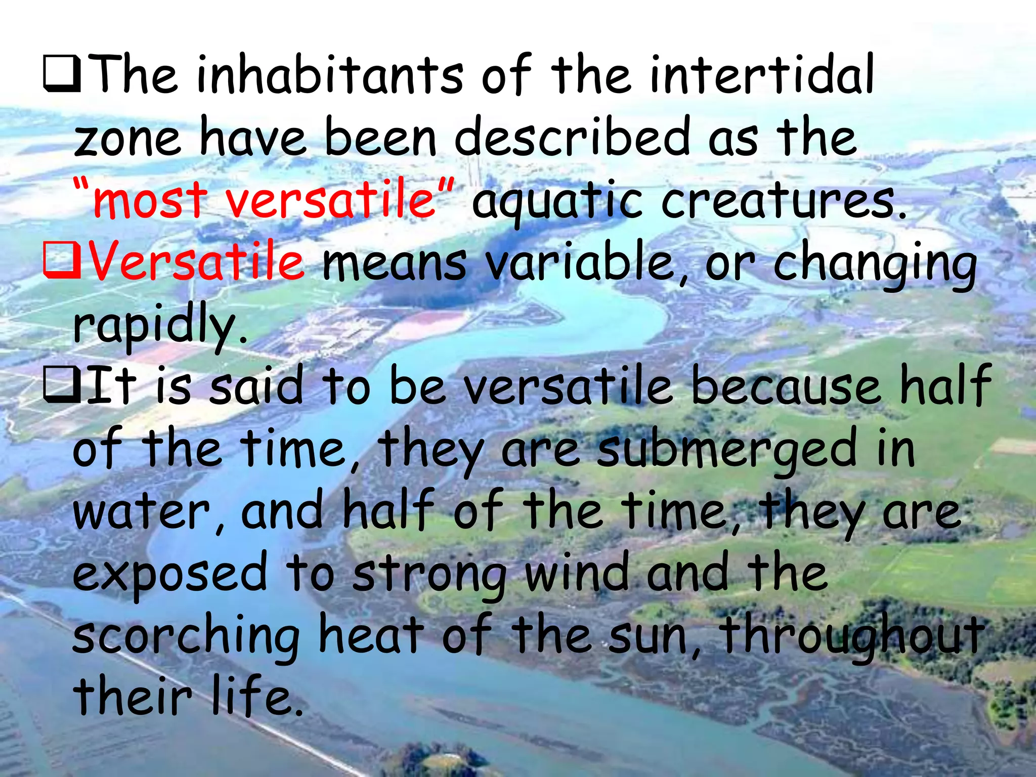 What are the Biotic and Abiotic Conditons in estuaries and intertidal ...