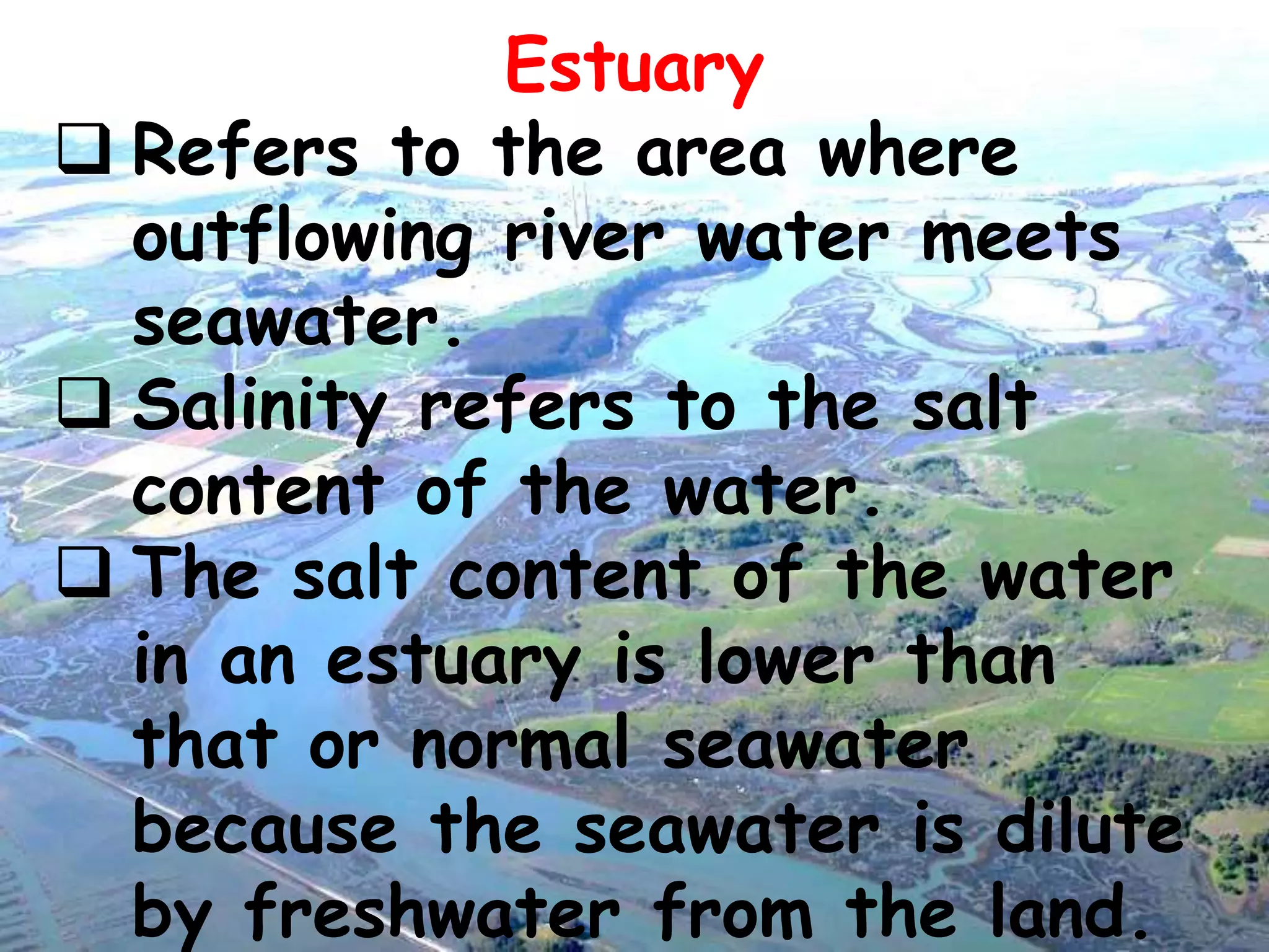 What are the Biotic and Abiotic Conditons in estuaries and intertidal ...