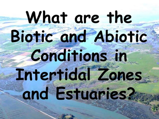 What are the Biotic and Abiotic Conditons in estuaries and intertidal ...