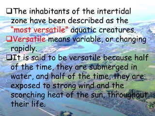 What are the Biotic and Abiotic Conditons in estuaries and intertidal ...