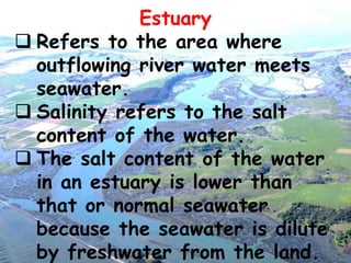 What are the Biotic and Abiotic Conditons in estuaries and intertidal zones | PPTX