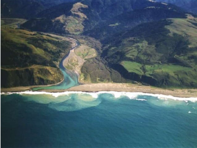 What are the Biotic and Abiotic Conditons in estuaries and intertidal ...