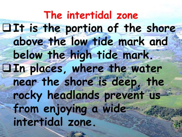 What are the Biotic and Abiotic Conditons in estuaries and intertidal ...