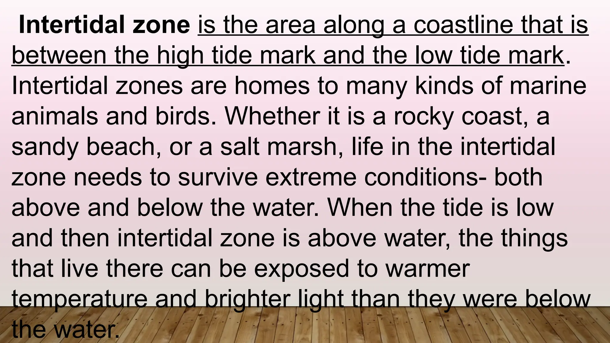 Grade 5 Science on Estuaries and Inter tidal zones.pptx
