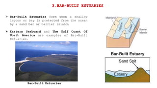 Estuaries ecosystem | PPTX