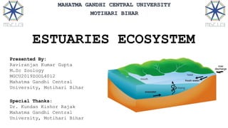 Estuaries ecosystem | PPT