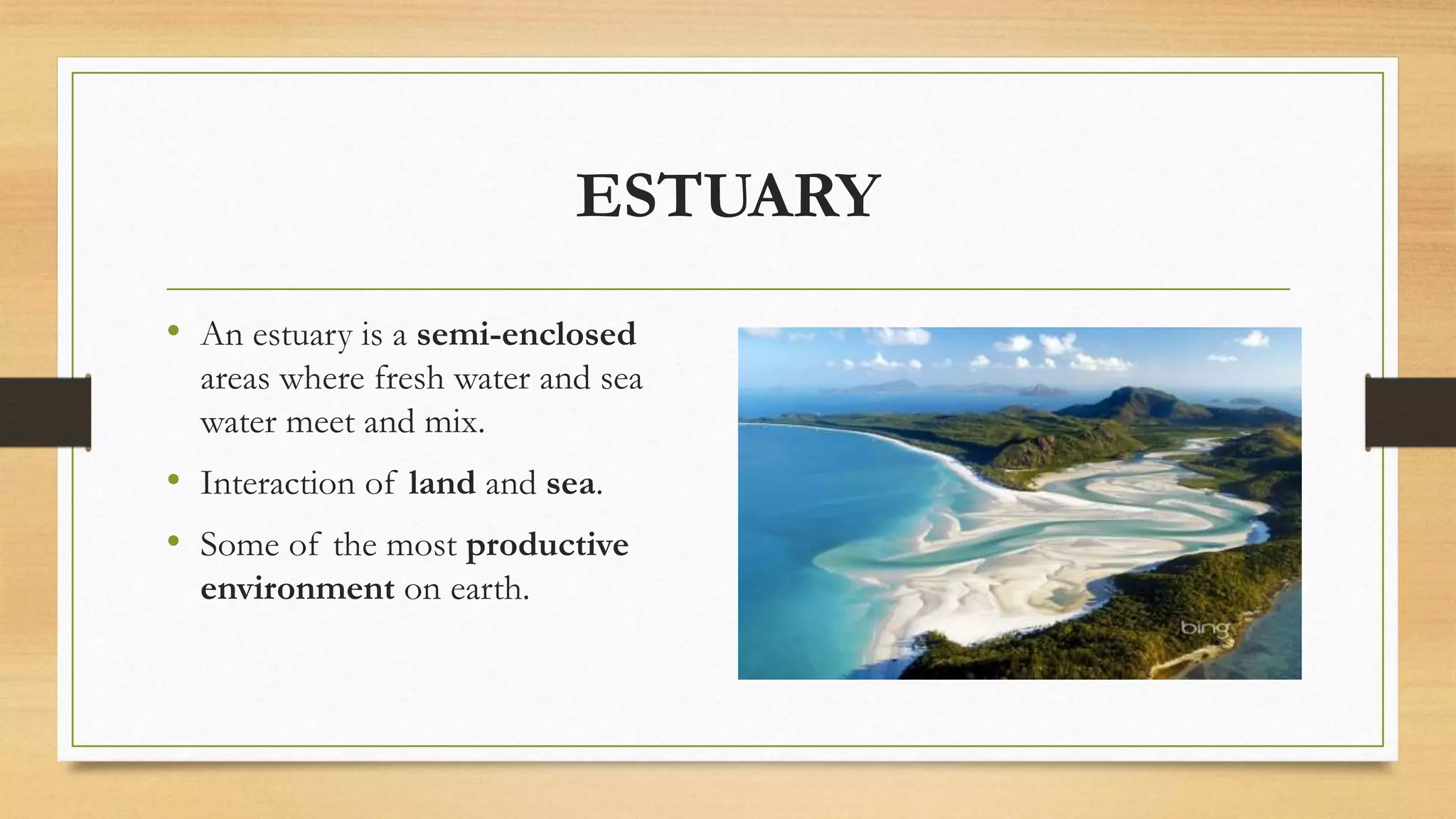 Estuaries in Bangladesh | PPTX