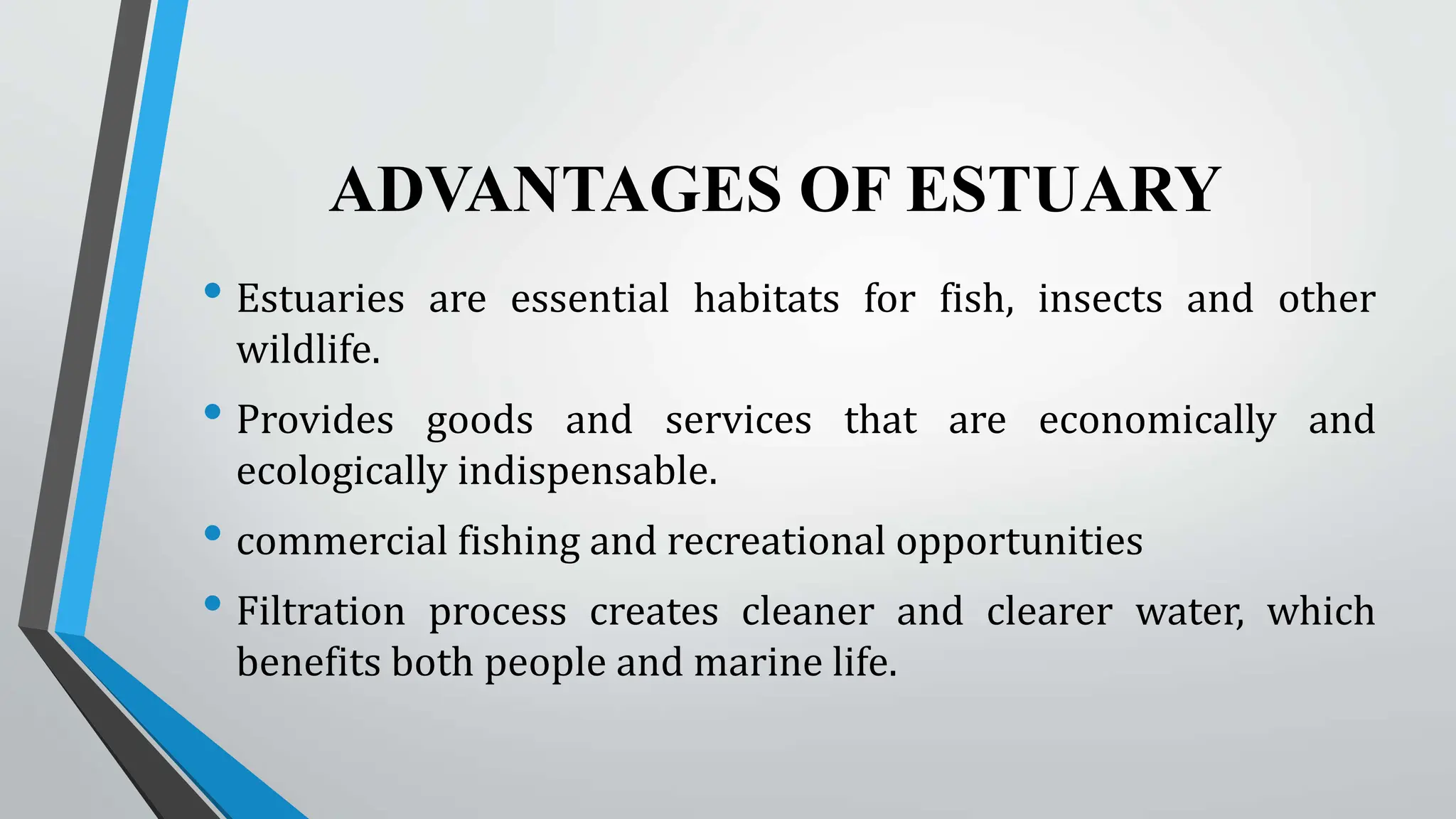 Estuarine ecosystem. Pptx environmental microbiology | PPTX