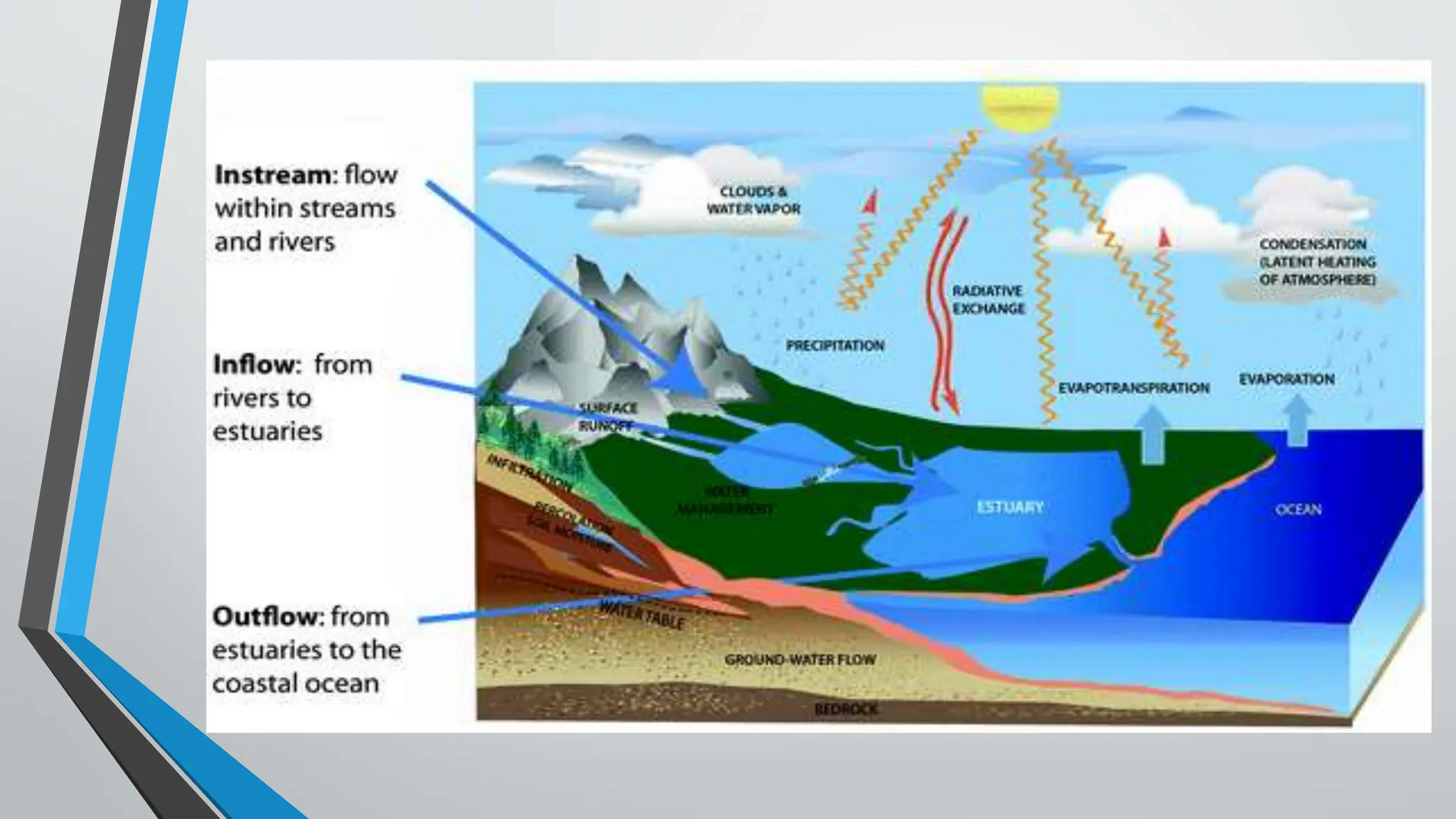 Estuarine ecosystem. Pptx environmental microbiology | PPTX