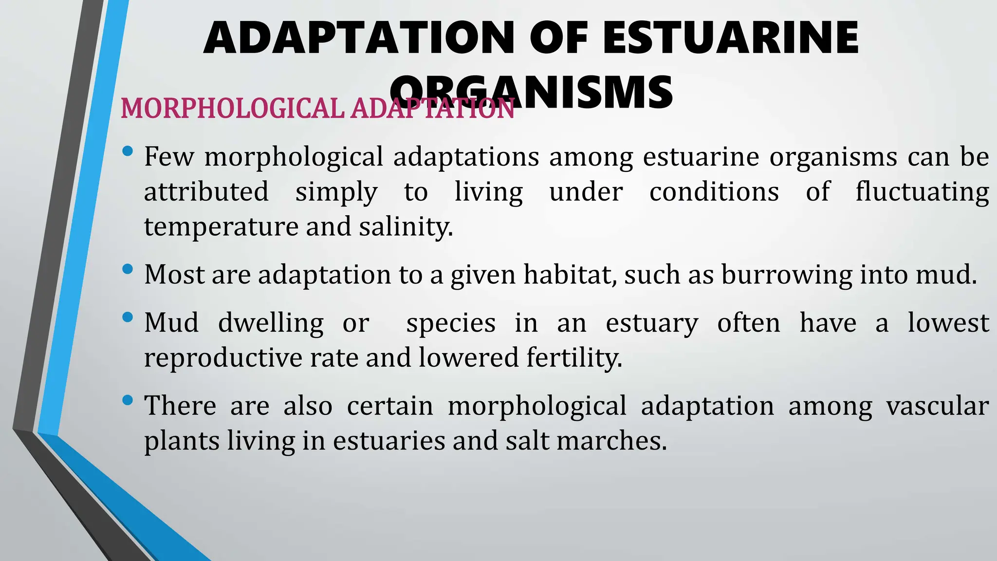 Estuarine ecosystem. Pptx environmental microbiology | PPTX