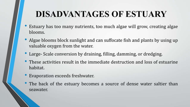 Estuarine ecosystem. Pptx environmental microbiology | PPT