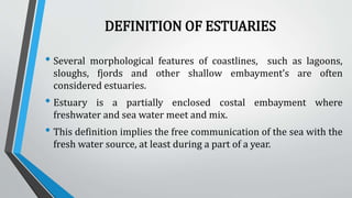 Estuarine ecosystem. Pptx environmental microbiology | PPT
