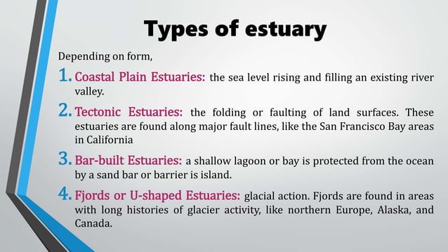 Estuarine ecosystem. Pptx environmental microbiology | PPT