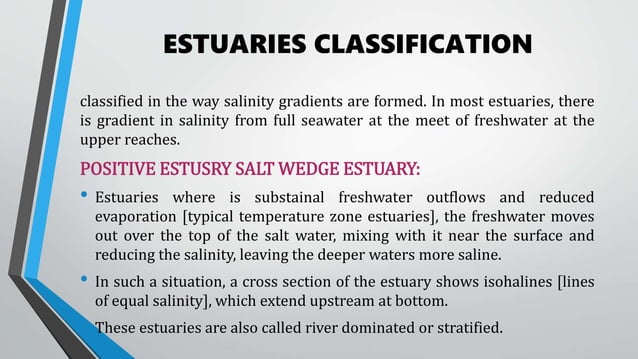 Estuarine ecosystem. Pptx environmental microbiology | PPT