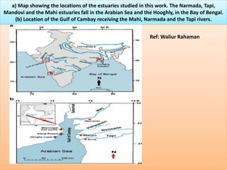 Estuarine fisheries resource of India By B.pptx