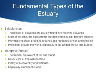 Estuary Presentation | PPTX