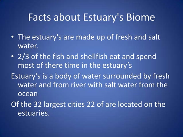Estuary biome | PPT