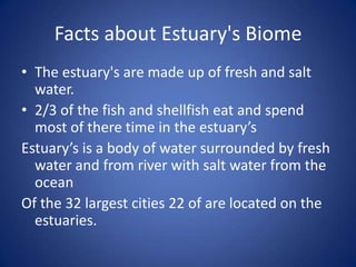 Estuary Biome Location