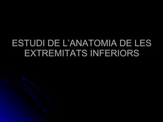Estudi de l’anatomia de les extremitats | PPT
