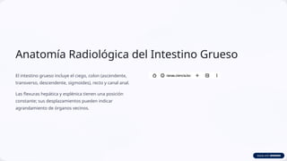 Estudio-Radiografico-del-Colon. Interpretación. | PPTX