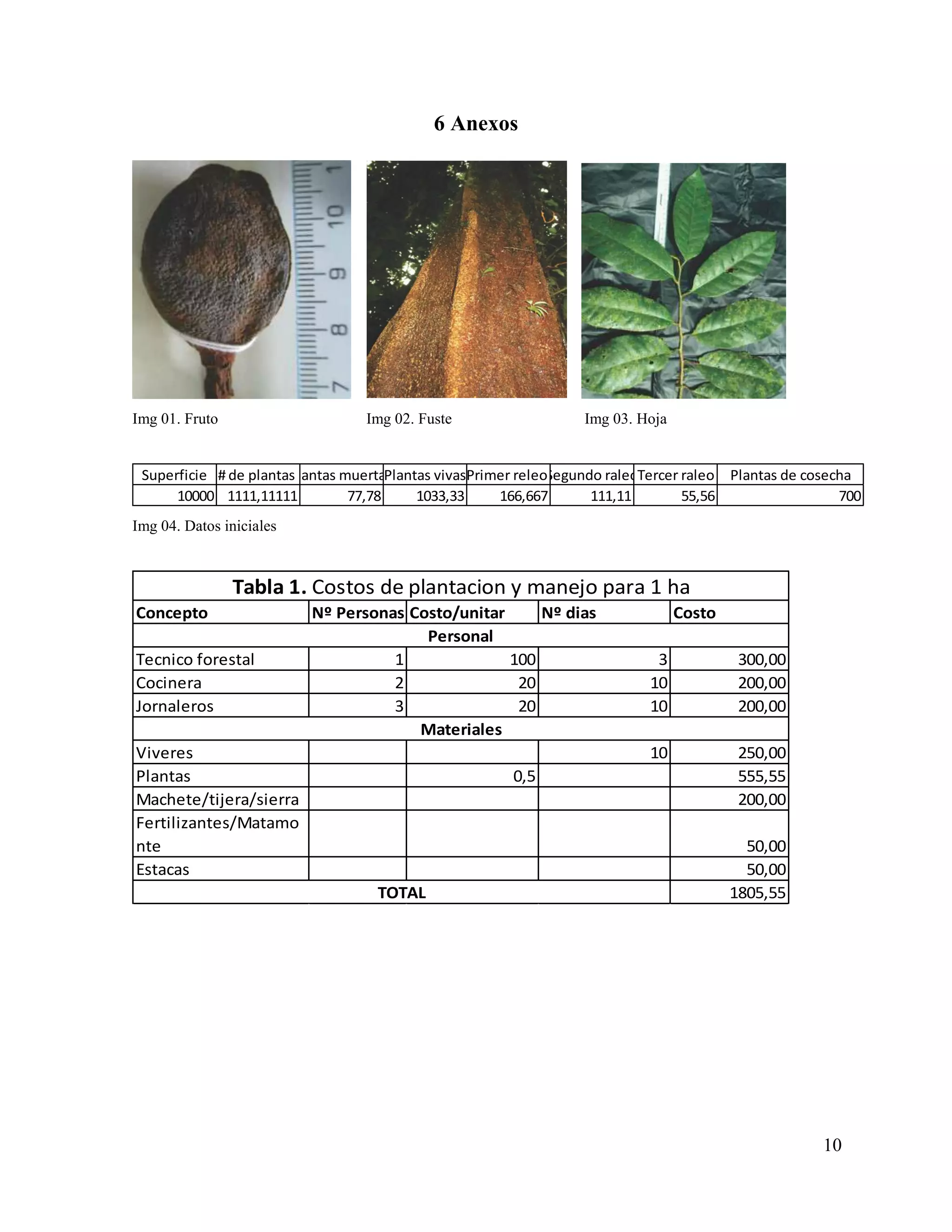 Análisis de la dinámica de crecimiento del Cuangare (Otoba parvifolia ...
