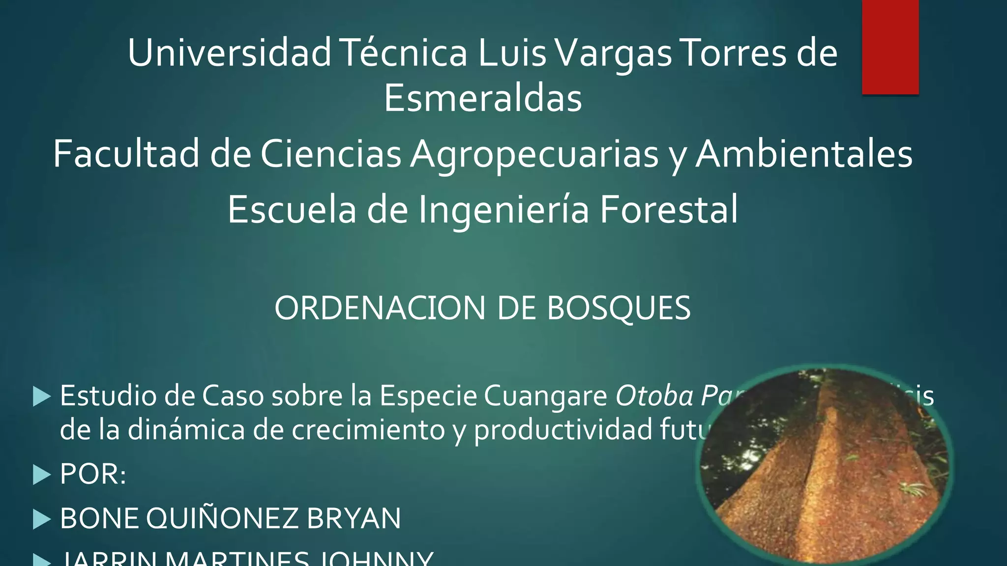 Estudio de caso sobre la especie Cuangare (Otoba parvifolia) - análisis ...