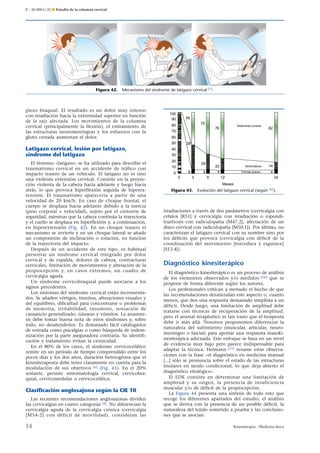 Estudio de la columna cervical | PDF
