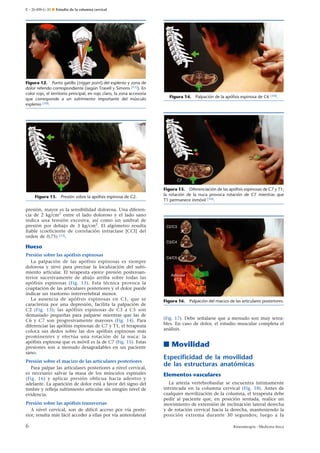 Estudio de la columna cervical | PDF