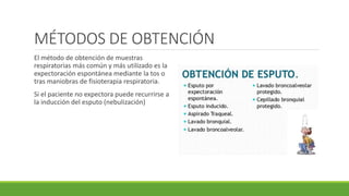 Estudio del esputo | PPTX