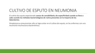 Estudio del esputo | PPTX