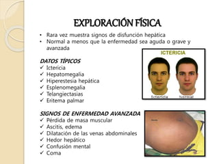 Estudio del paciente con enfermedad hepática | PPTX