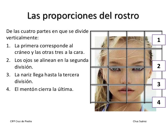Partes del rostro humano - Imagui