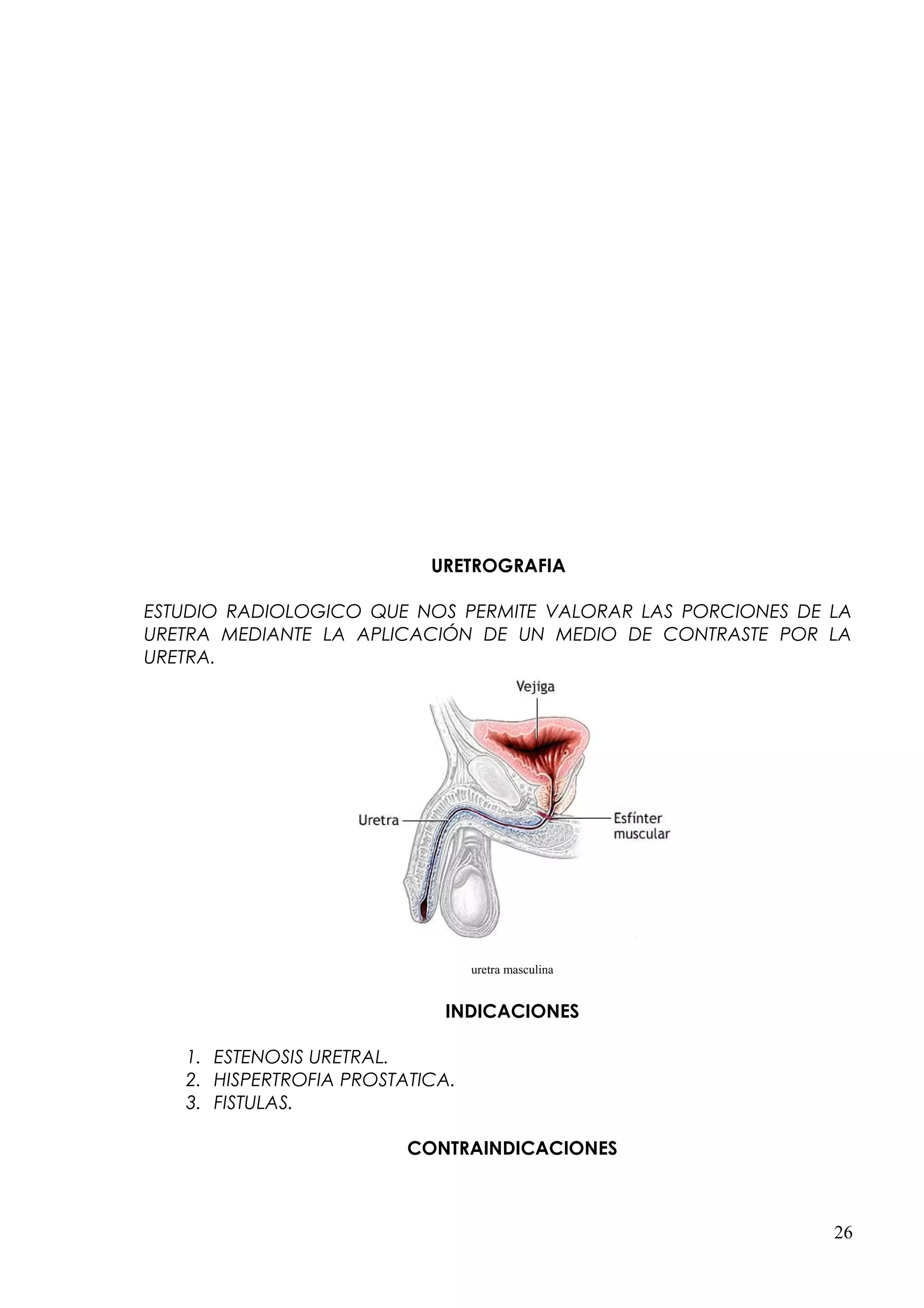 ESTUDIOS CONTRASTADOS PROCEDIMIENTO Y PROYECCIONES RADIOLOGICAS | DOC