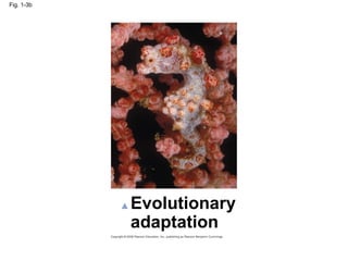 Introduction to Biology: Themes, Structure, and Evolution of Life | PPT