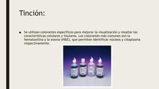 Estudios histológicos de la célula1.pptx