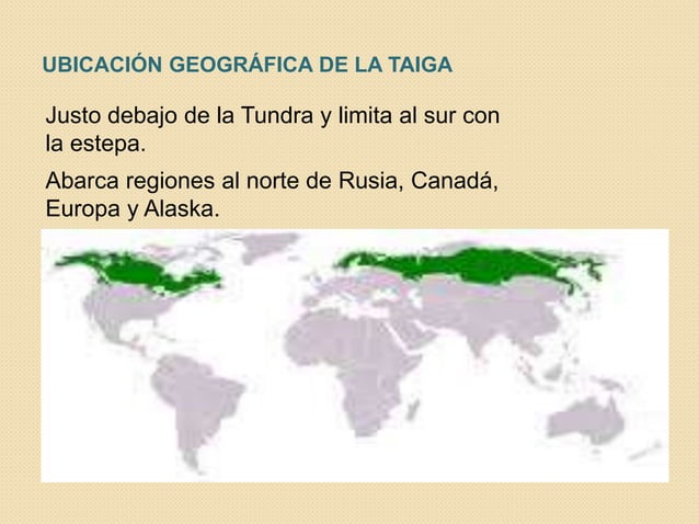 La taiga y sus caracteristicas. | PPT