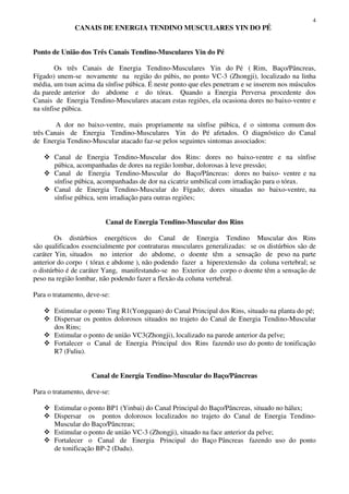 Estudo do trajeto dos pontos musculo tendineos | PDF