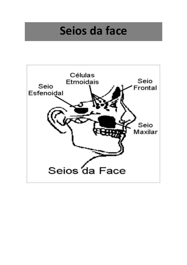 Estudo radiologico dos ossos da face