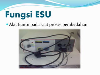 Esu | PPTX