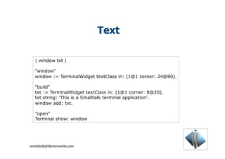 Terminal Widgets | PDF